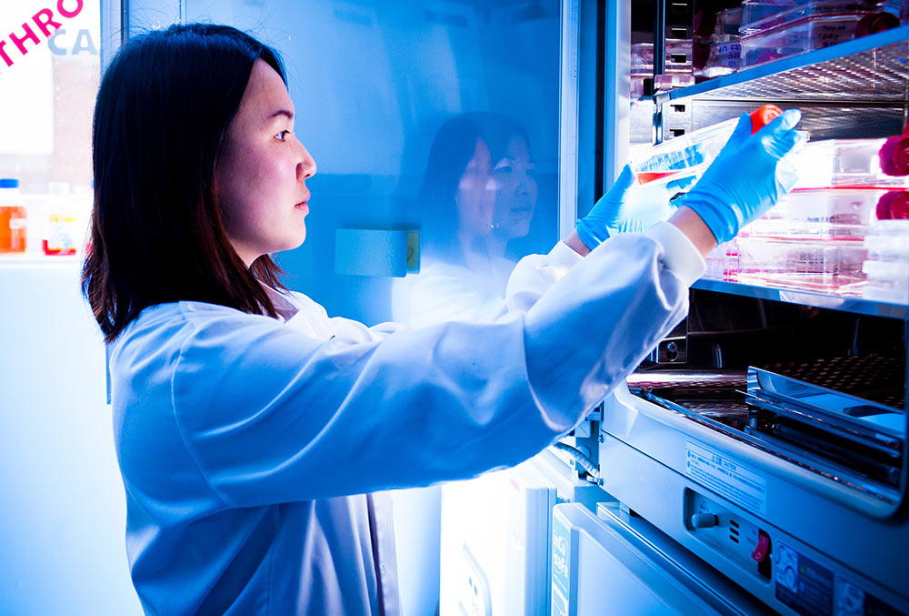 Resources at Medicines Discovery Catapult