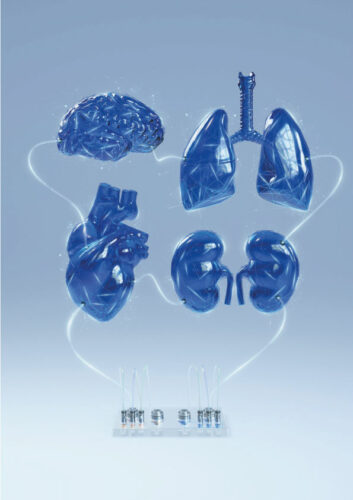 Humans on a chip – the future for research and drug discovery - MDC Blog