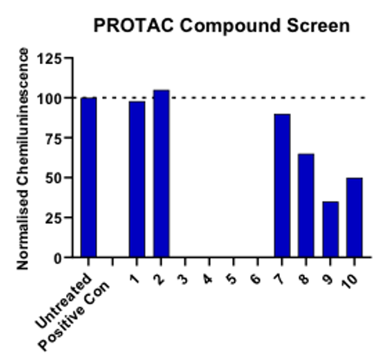 PROTAC Assays - Successfully measuring Protein Degradation