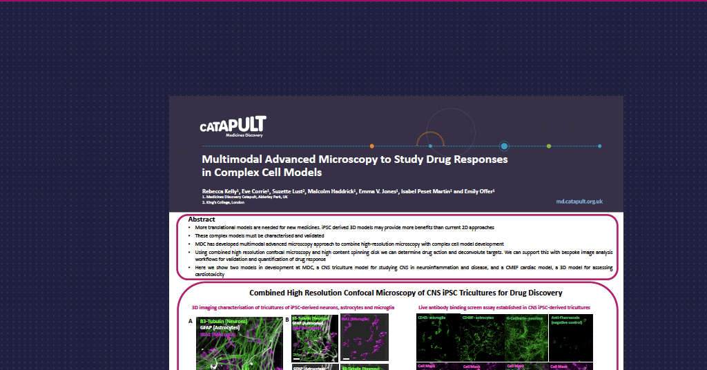 Advanced Microscopy Drug Responses