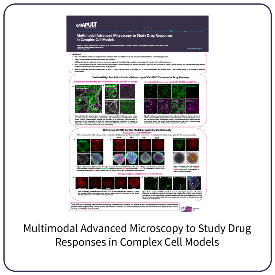 Advanced Microscopy Drug Responses