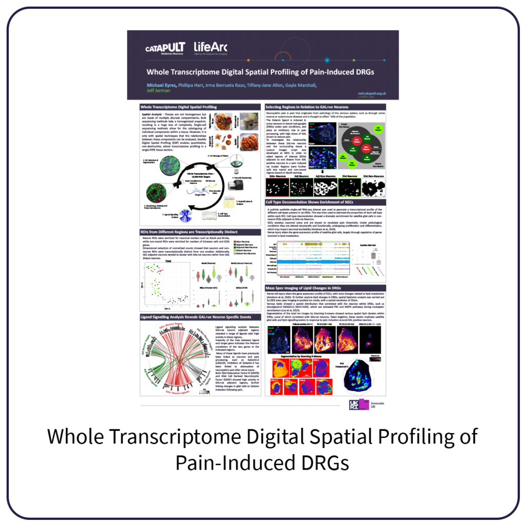 Transcriptome Digital Spatial Profiling