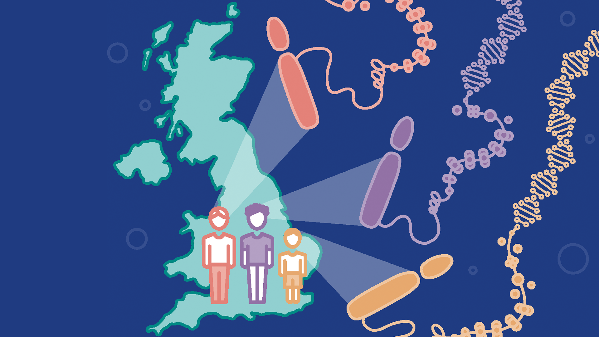 Building on the Foundations of UK Genomics