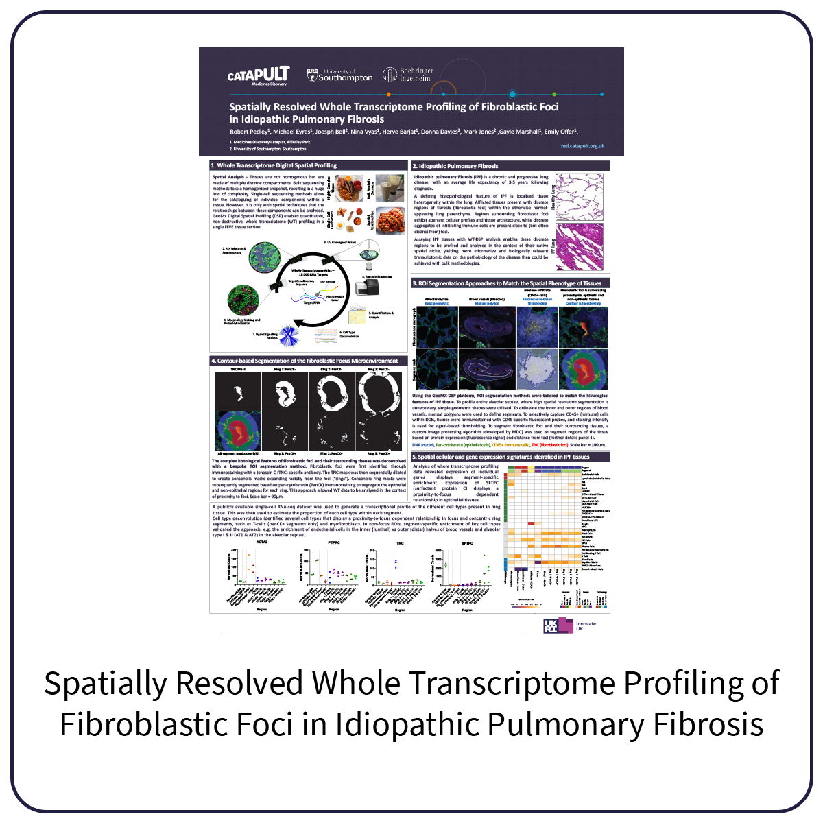 Profiling of Fibroblastic Foci in Idiopathic Pulmonary Fibrosis
