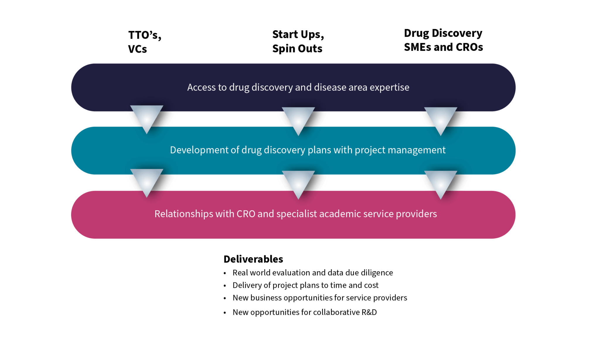 Accessing the Skills for Successful Drug Discovery