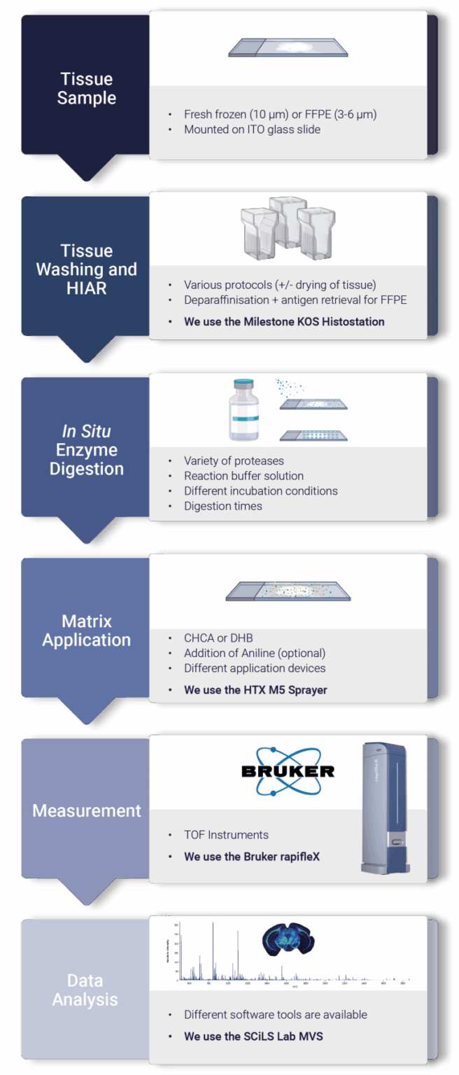 FFPE workflow: From block to spectra - Medicines Discovery Catapult