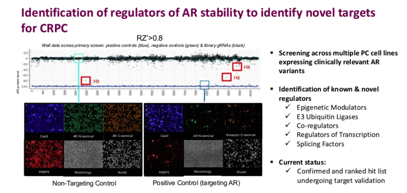 Target discovery at AstraZeneca: discovery, identification, and novel ...